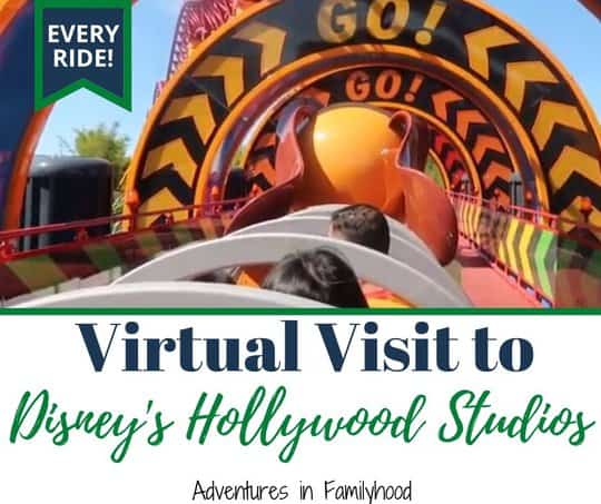 Virtual Visit to Disney's Animal Kingdom - Adventures in Familyhood