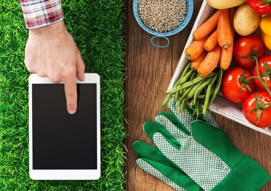 What tech products do you need to start using in your garden? - Rachel ...