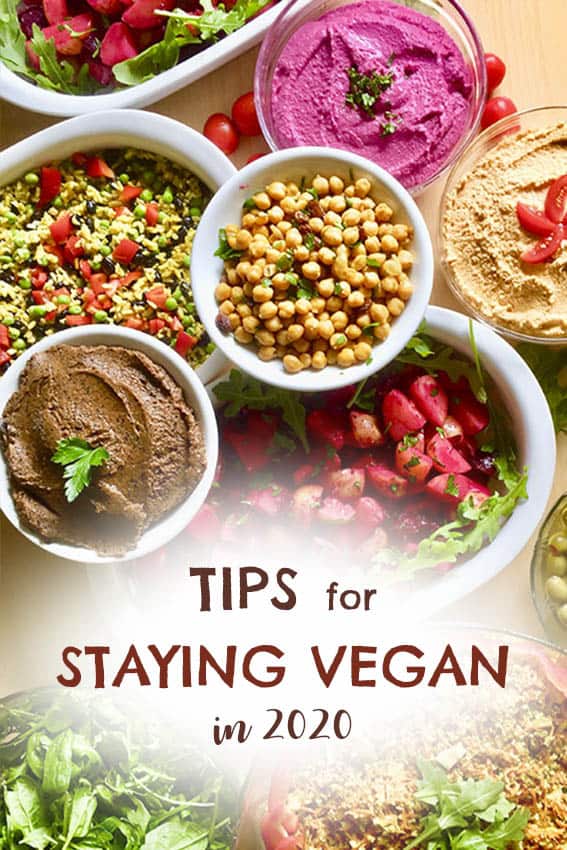 12 Tips for Staying Vegan - Kind Earth