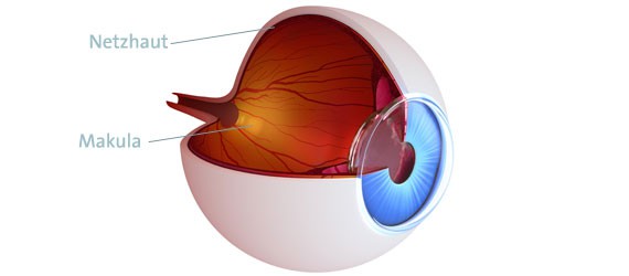 Netzhaut – Augenchirurgie, Fachärztin für Augenheilkunde und Optometrie ...