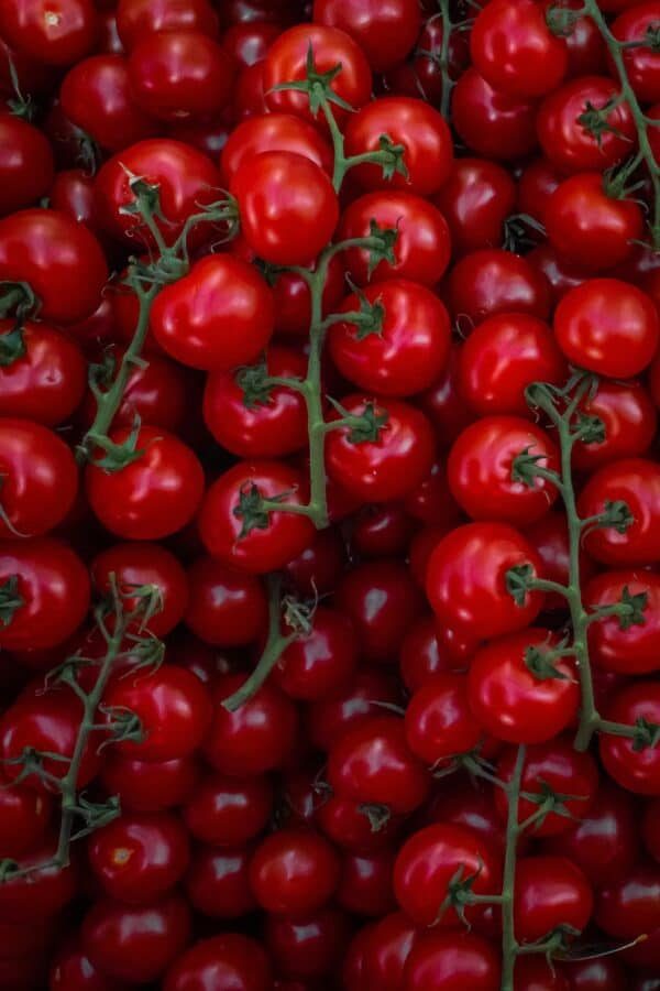 Tomato ‘Sweet Aperitif’ – Heritage Vegetable Seeds