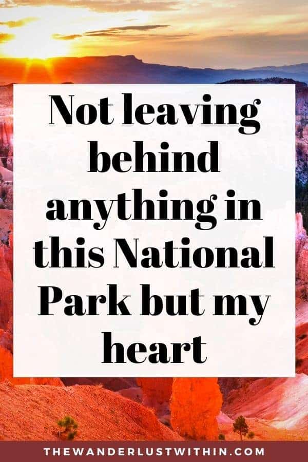 37 Best National Park Quotes For Exploring America's Great Outdoors ...