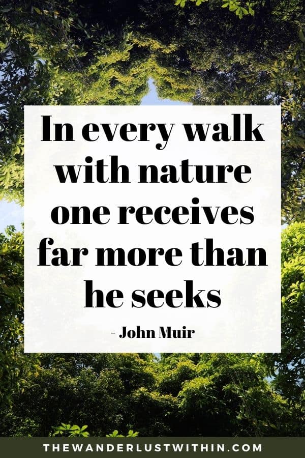 87 Most Inspiring John Muir Quotes for Nature Lovers (2023) - The ...