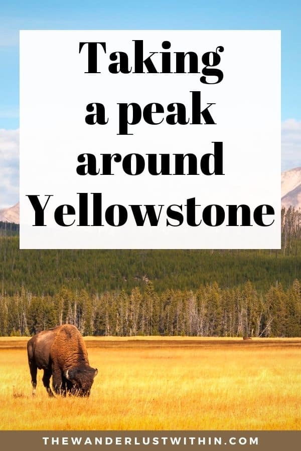 30 Best Yellowstone Quotes That Will Inspire You To Visit 2024 - The ...