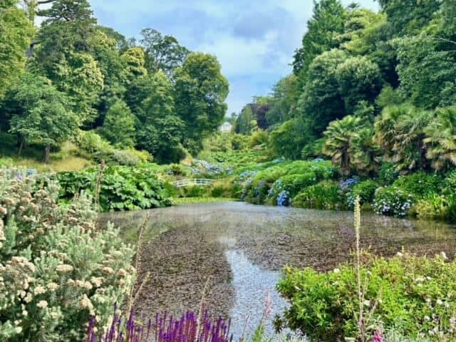 Trebah Garden Review: Exploring a Sub-Tropical Paradise