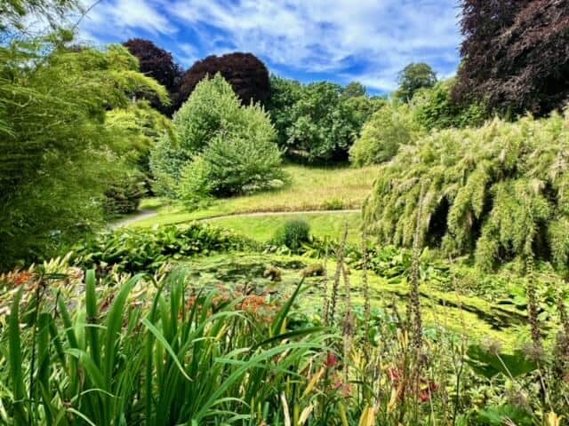 Trebah Garden Review: Exploring a Sub-Tropical Paradise