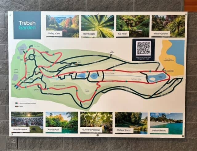 Trebah Garden Review: Exploring a Sub-Tropical Paradise