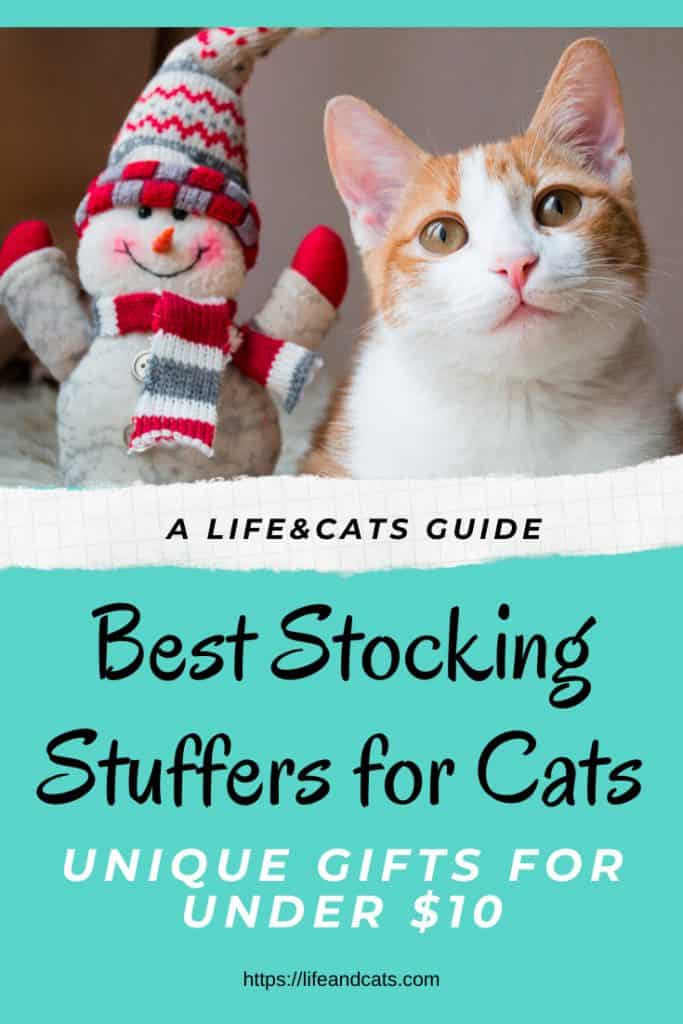 Stocking Stuffers For Cats: Unique Gifts For Under $10