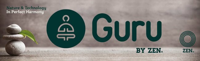 The Zen Guru Mattress Review - Rachel Bustin