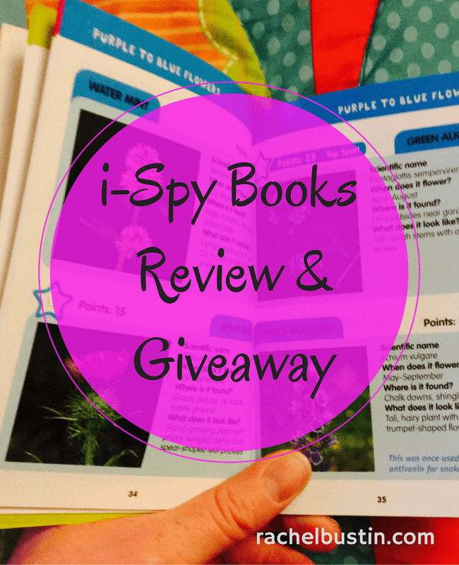 i-Spy Book Review and Giveaway - Rachel Bustin