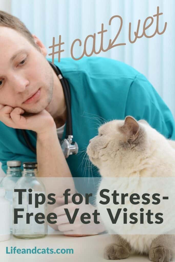 How to Reduce Stress at the Vet