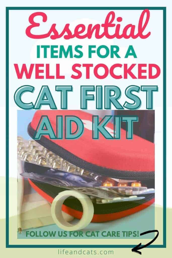 Essential items for a well stocked cat first aid kit