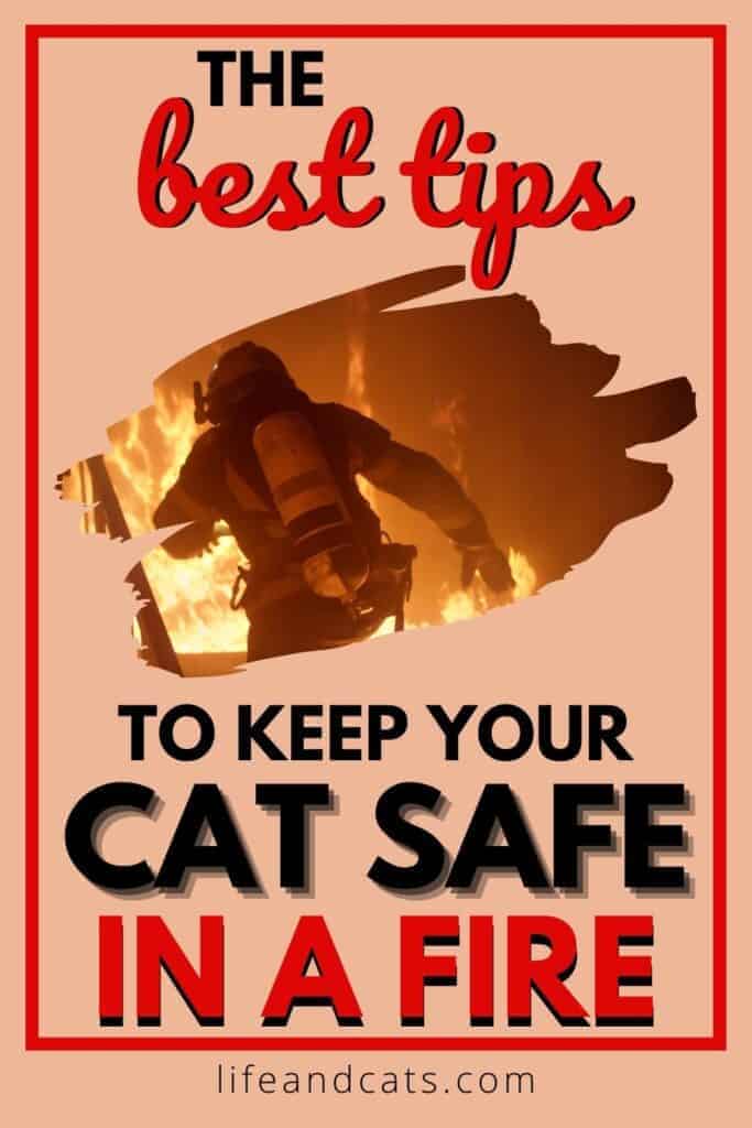 How To Keep Your Cat Safe In A Fire