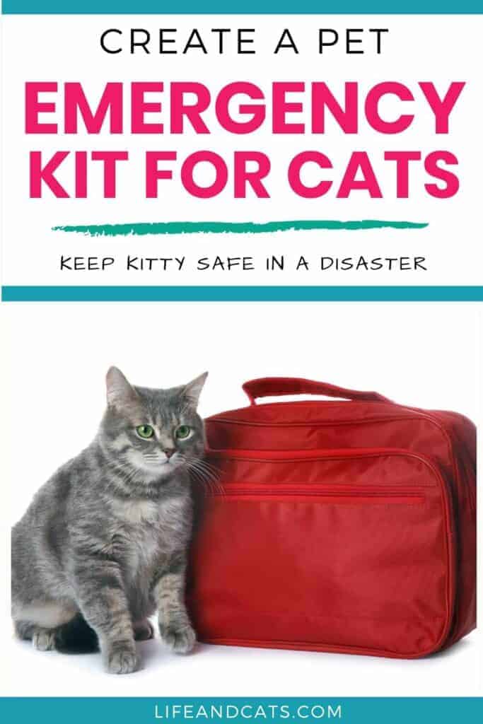 Creating a Pet Emergency Kit: Essential Supplies for Cats