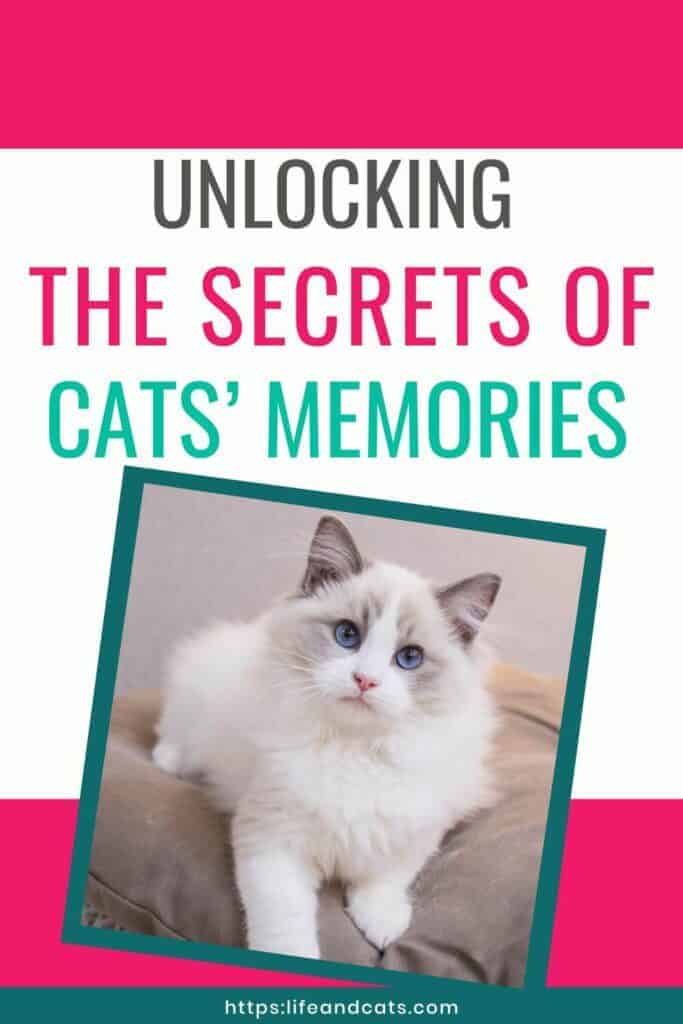 Unlocking the Secrets of Cat Memory