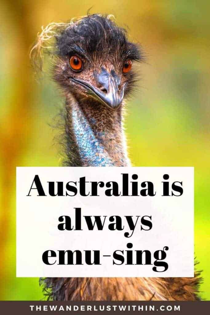 132 Best Australia Quotes and Australia Instagram Captions 2024 - The ...