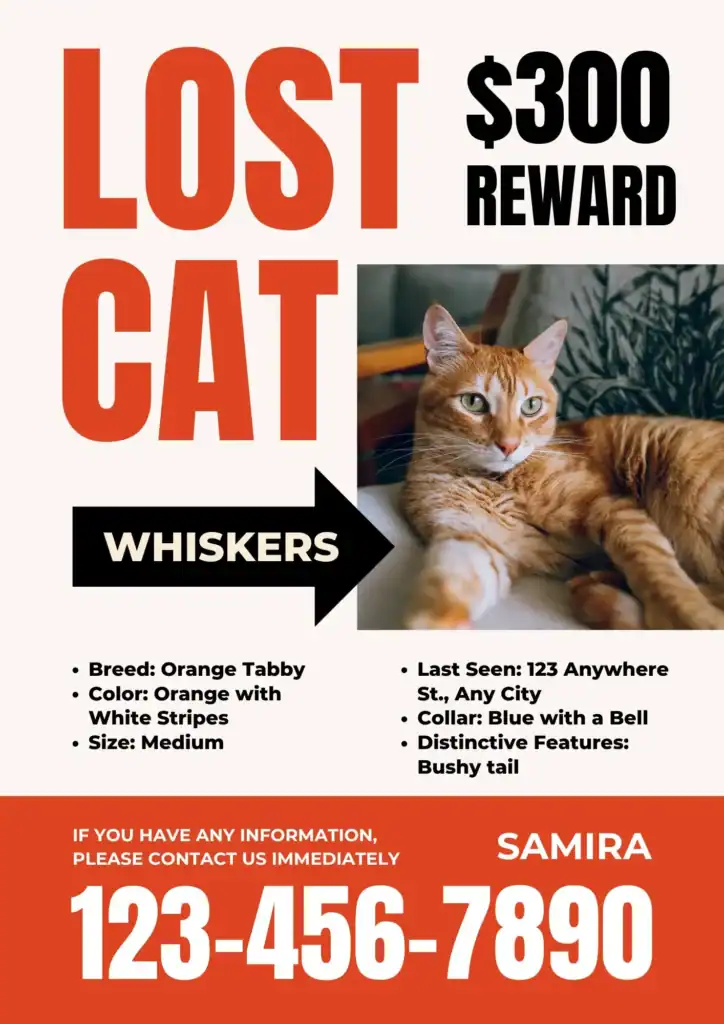 Create an Effective Missing Pet Poster: Tips for Finding Your Lost Cat