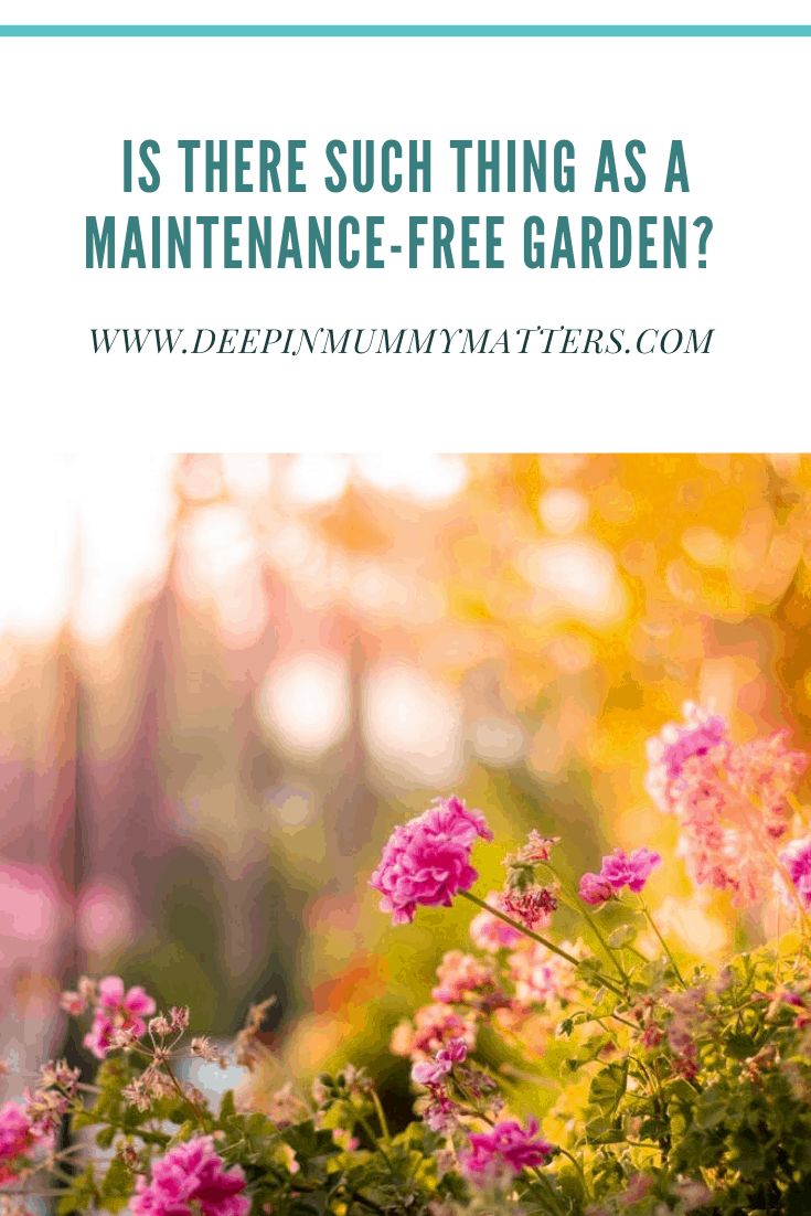 Is There Such A Thing As A Maintenance-Free Garden? - Mummy Matters