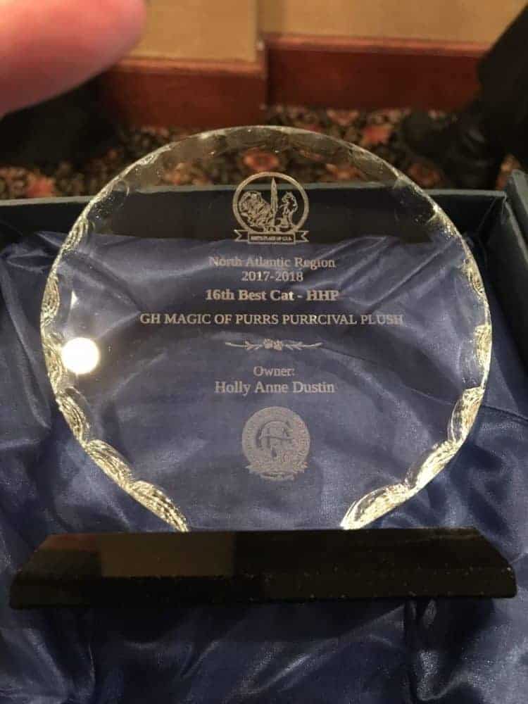 Meaning of Cat Show Ribbons and Awards