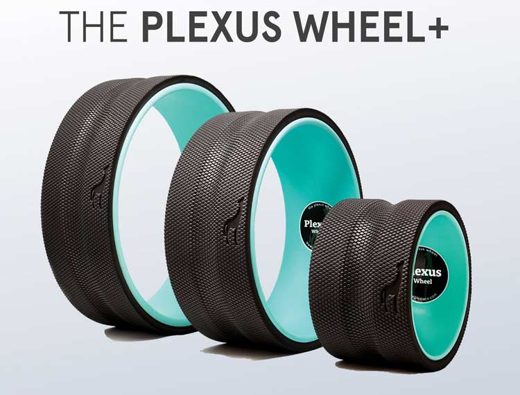 Chirp Plexus Wheel Back Pain Relief | Time 4 Gadget