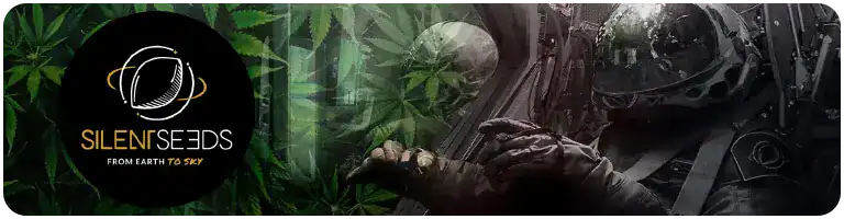 Graines de cannabis Silent Seeds | Livraison discrète France et europe