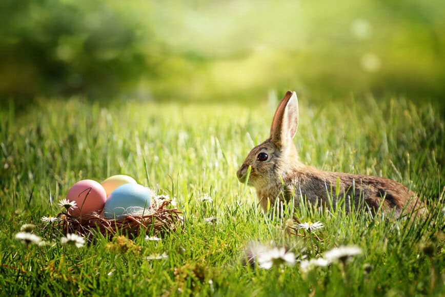 Easter in Ireland: Traditions, Food, and Festivities | by Melanie May