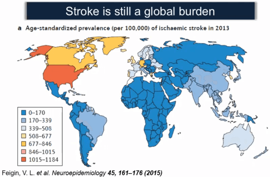 Catatan Koas2Doctor: Stroke Update - Koas2Doctor