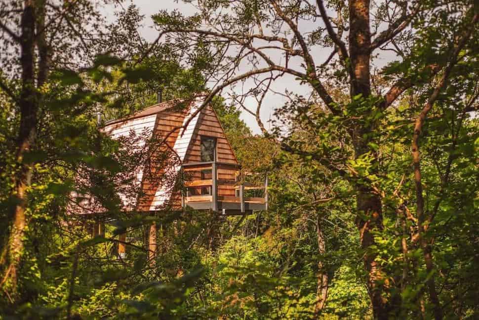 31 Airbnb Treehouse Holidays UK - Best UK Treehouses To Stay In 2024 ...