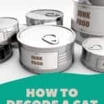 How to Decode Cat Food Labels - Life & Cats