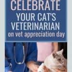 Veterinary Appreciation Day Ideas