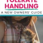 Teach Your Kitten to Tolerate Handling: A Guide for New Cat Owners