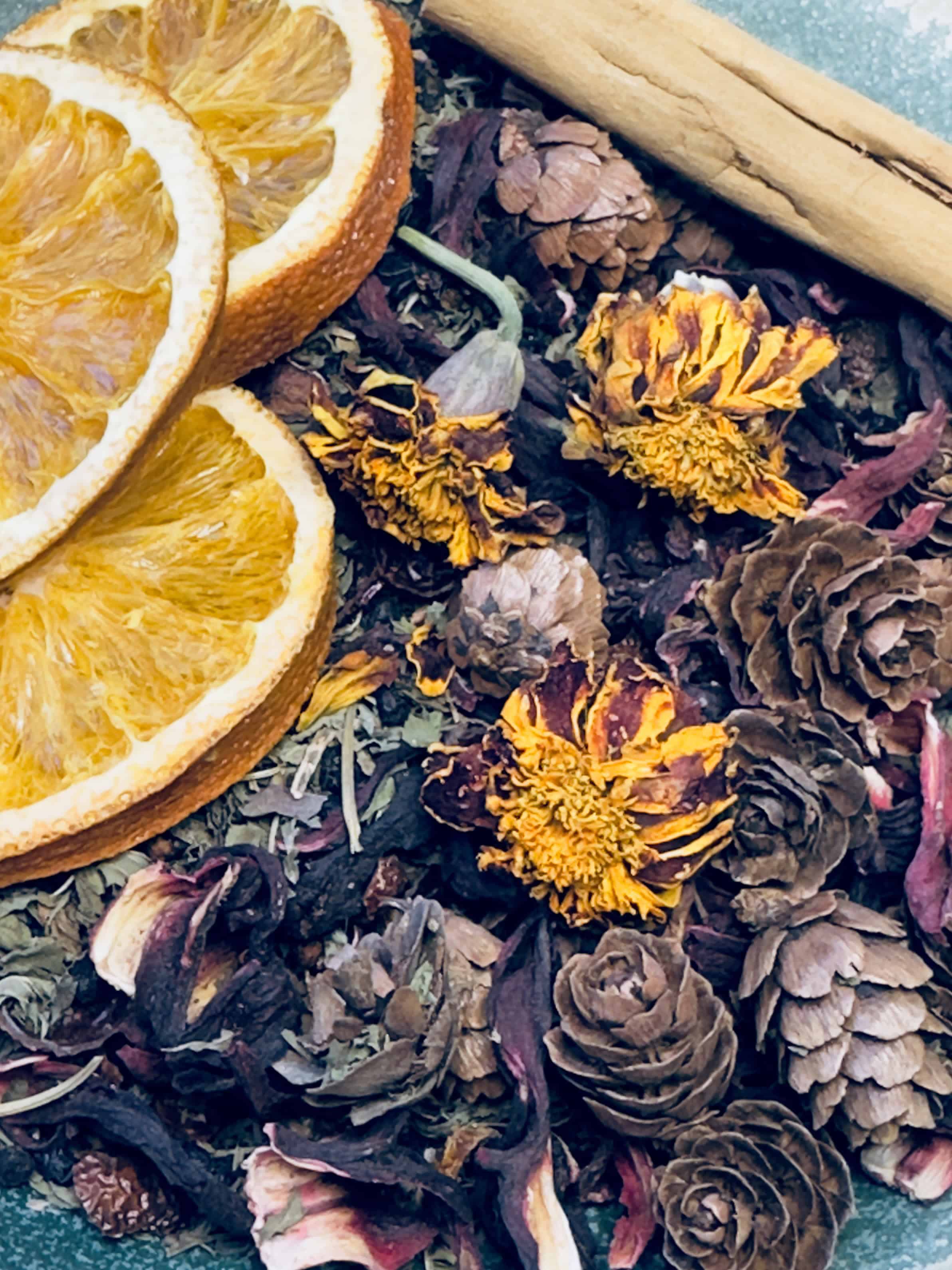 Yule Simmer Pot - Seeds and Soil Farm