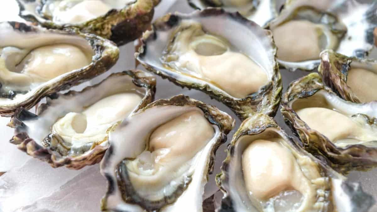 Shellfish – True North Seafood