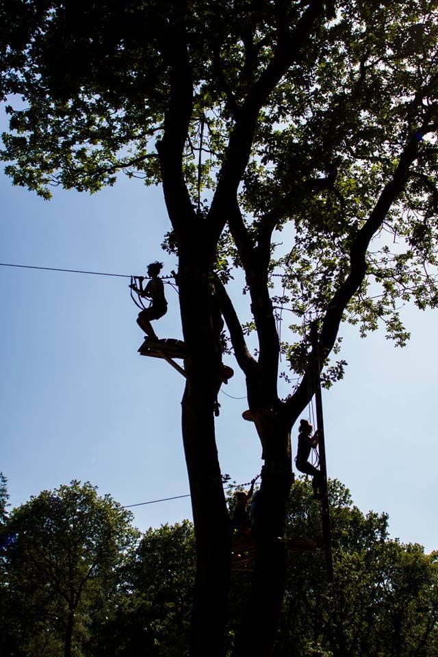 Tree Top Team Building-Exclusive Private Venue- Team Events