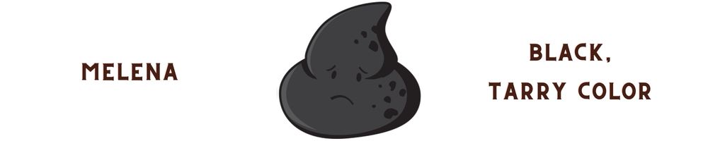 Blood In Dog Stool: What To Do And How To Proceed Safely - YDoWeLovePets